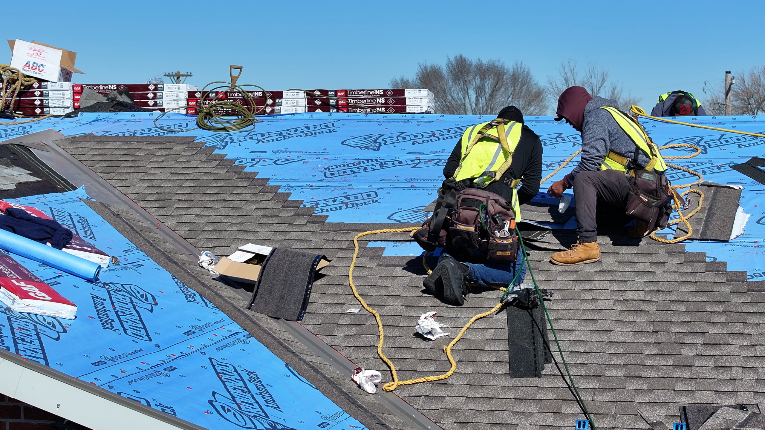 Trees Near Roofs: A Guide for Risks, Damage, and Planning